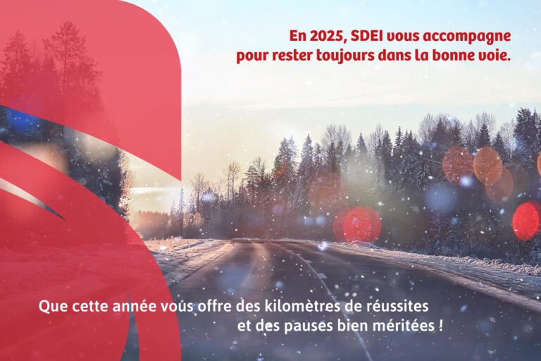 - SDEI - Votre copilote en données sociales transport depuis plus de 20 ans